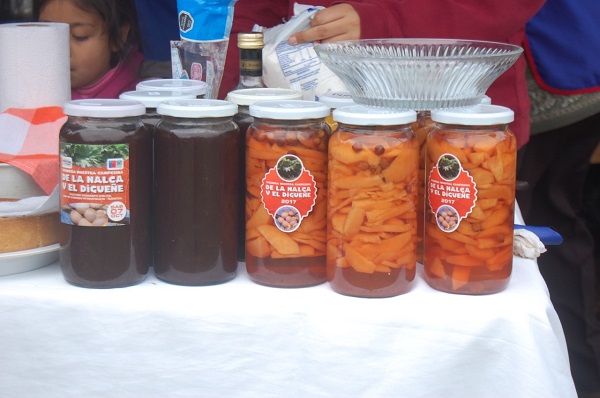 Se viene la cuarta versión de La Feria de La Nalca y El Digüeñe en ...